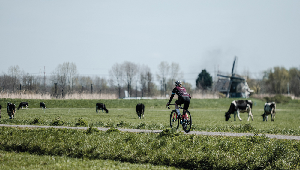 Test nu de fiets van Alaphilippe bij Visker Cycles | WielerFlits