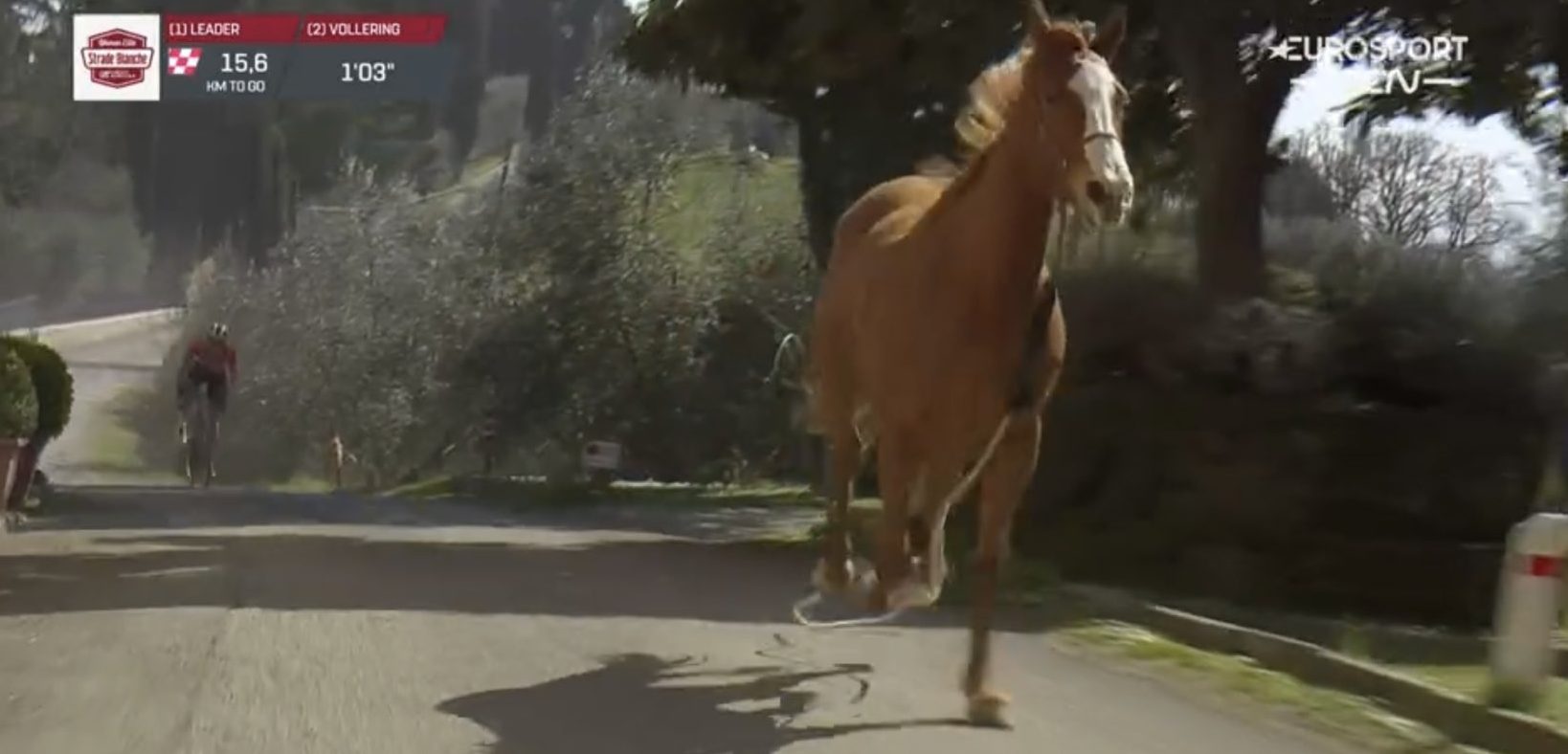 Bizar! Op hol geslagen paard hindert Demi Vollering in finale Strade ...