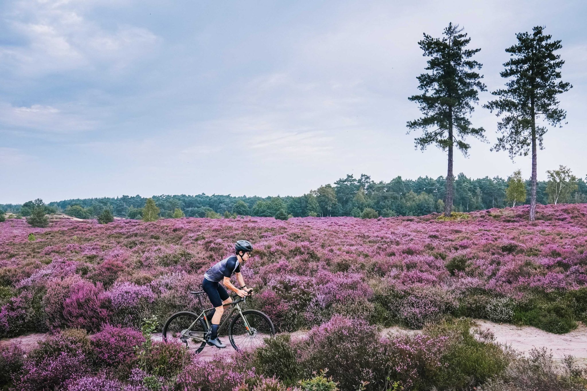 Met deze zes vignetten kan je in Nederland de MTB-trails op ...