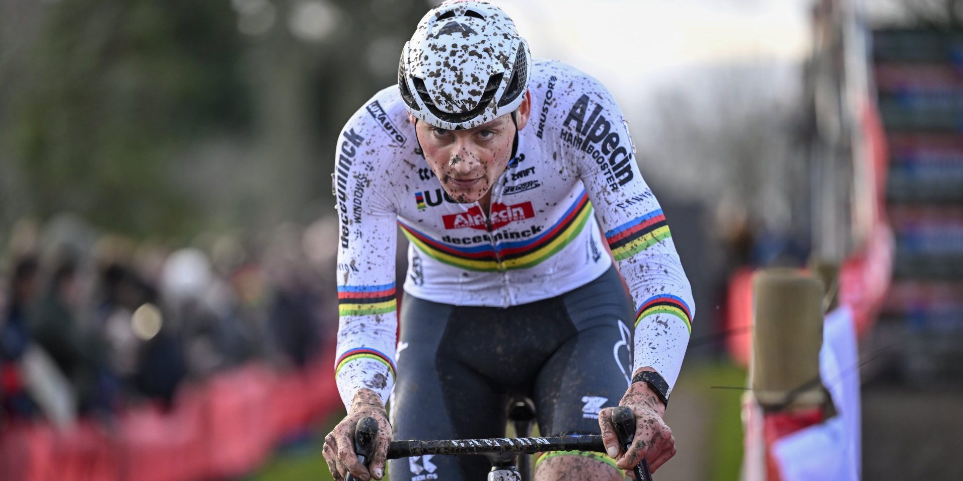 Niels Albert: "Hoor dat Mathieu van der Poel maar drie crossen zou rijden" | WielerFlits