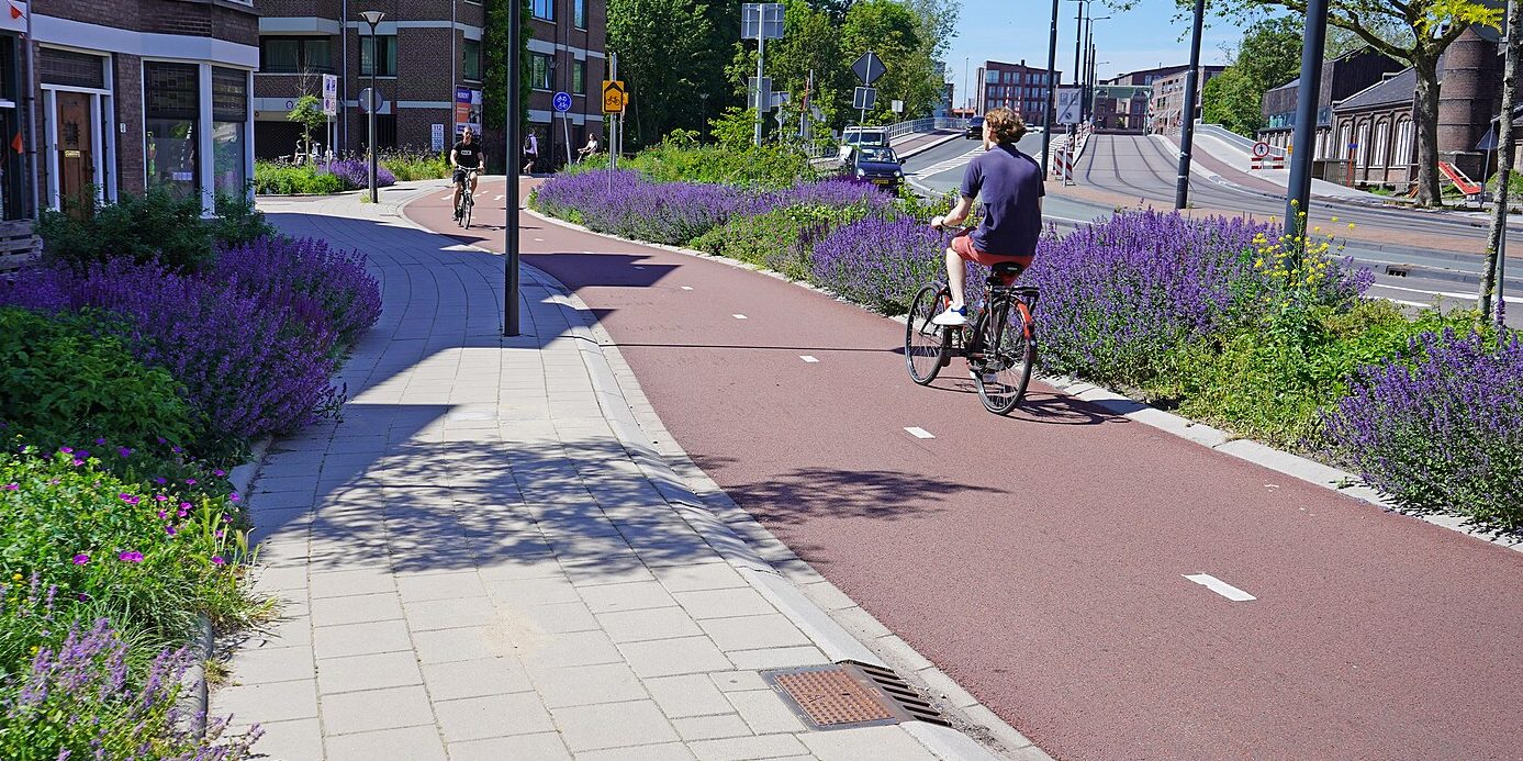 Fietsersbond pleit voor 30 km/u in de bebouwde kom